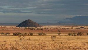 Biomes and vegetation types - Botanical Society of Namibia