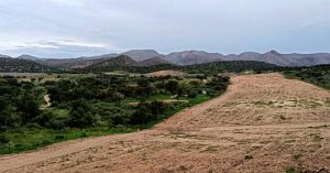 Namibia's plants - Botanical Society of Namibia